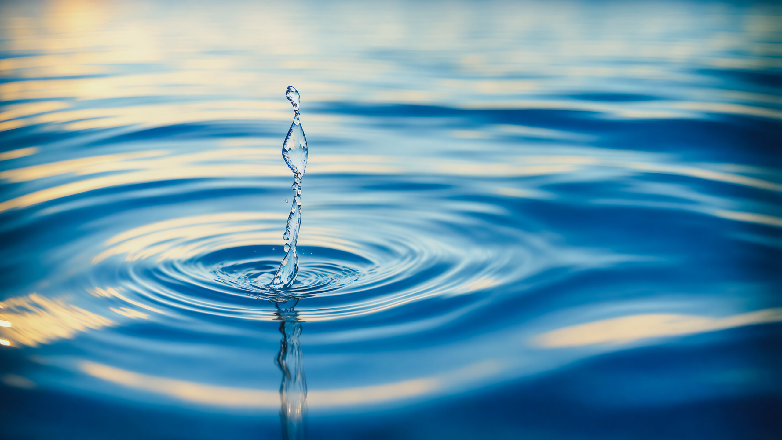 Liquidity Drain Continues...